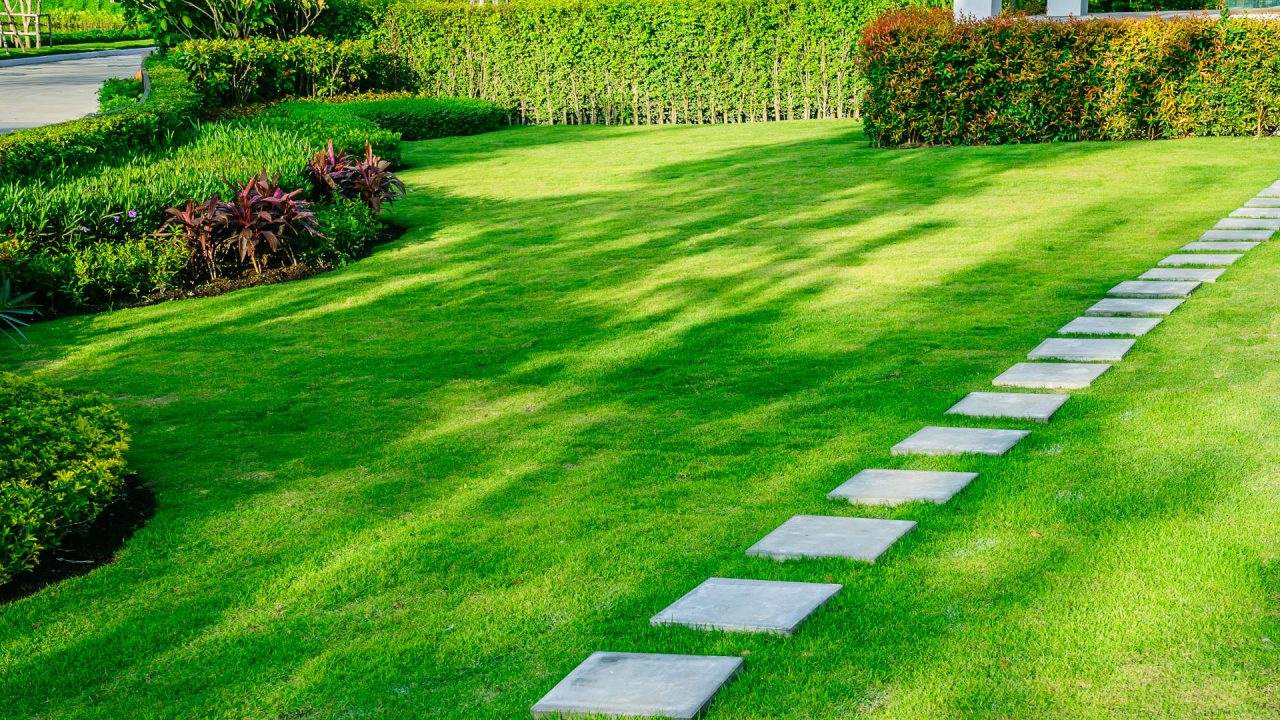 Lawn Installation | East Midlands and South Yorkshire